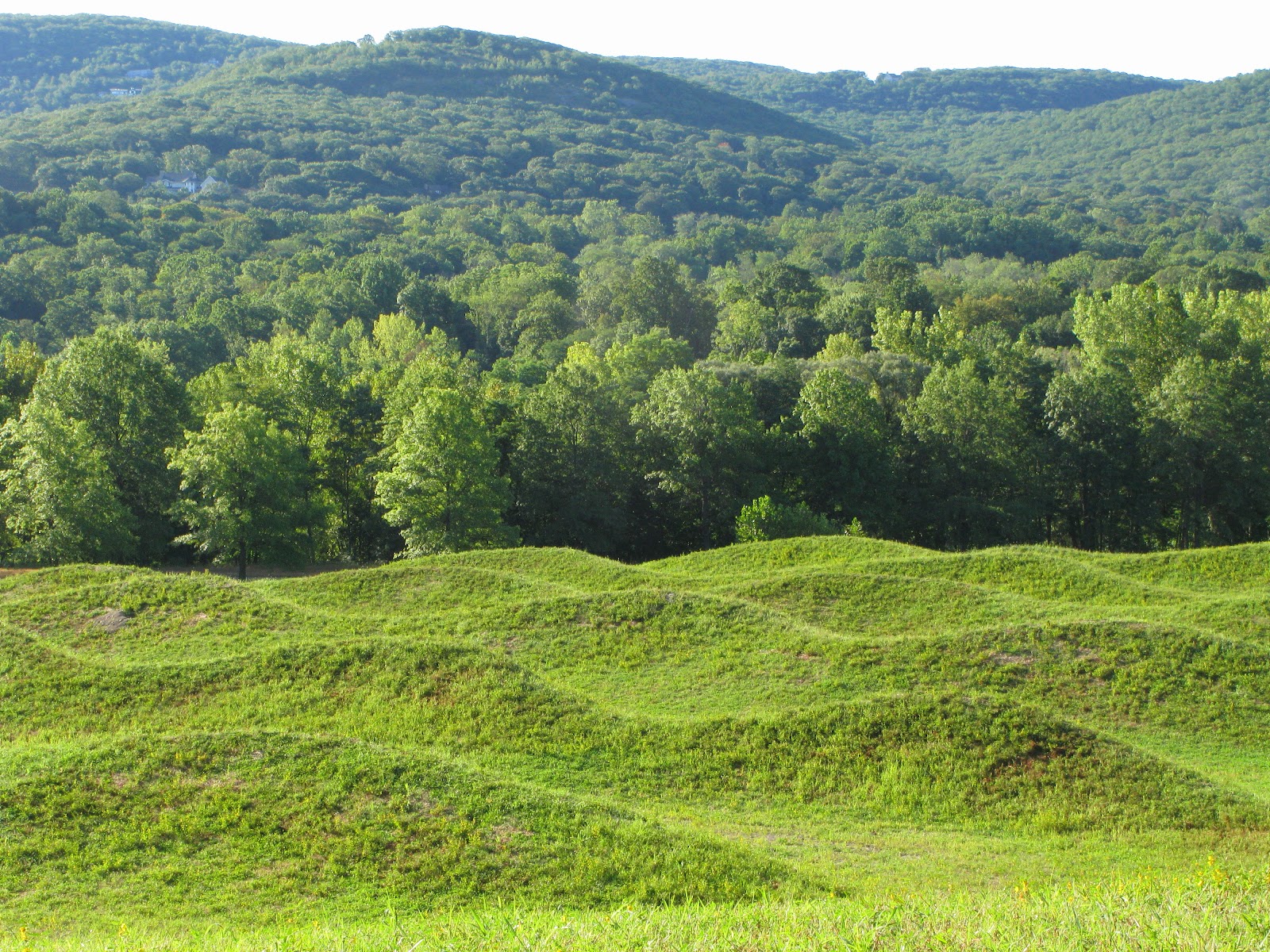 The Artsy Voyager: 4 Great Day Trips from NYC: Splendor in the Grass ...