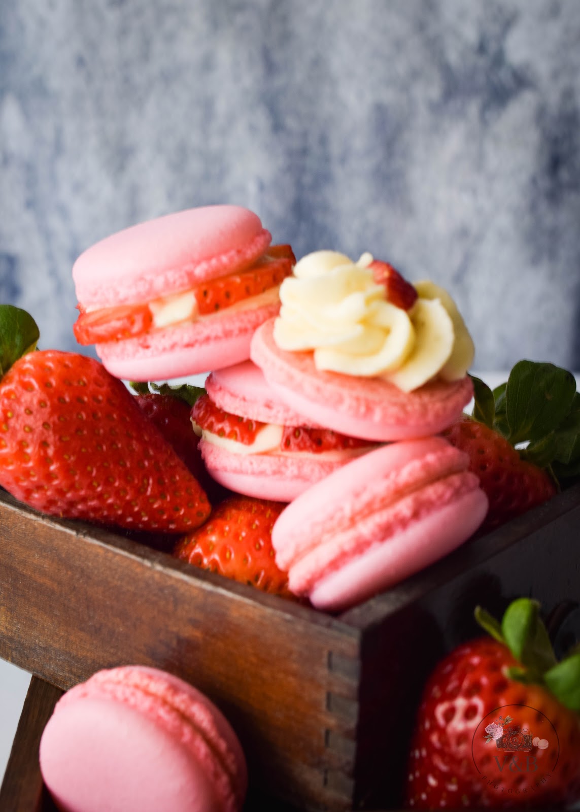 Macarons de Fresa - Vanilla & Berries