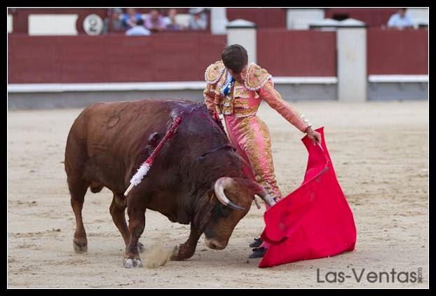 Ruedo Villanovense: HOY DISFRUTAREMOS DE LA PRESENCIA DEL NOVILLERO ...