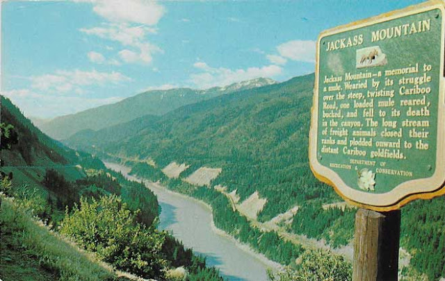 *Postcard Gems: Jackass Mountain