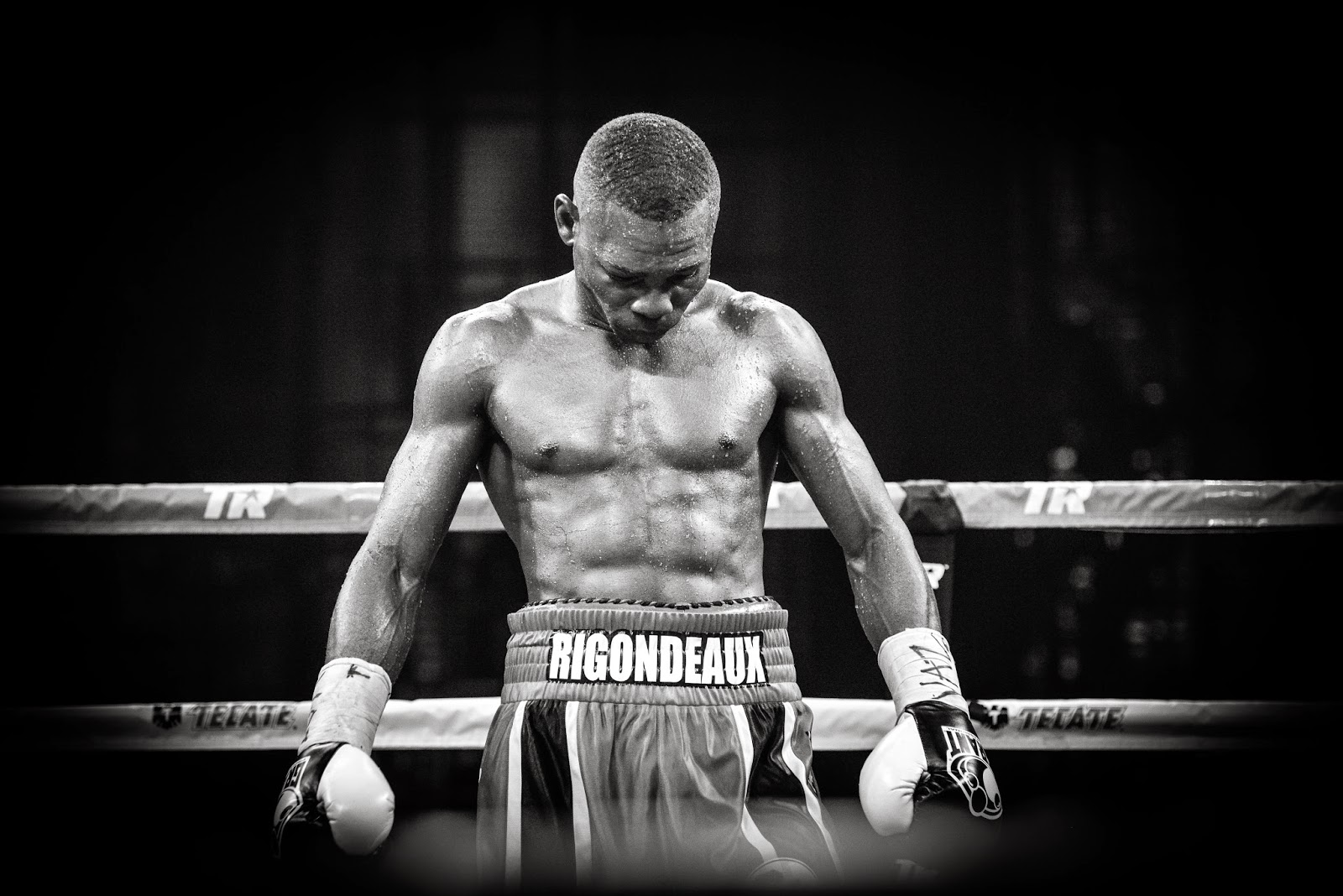 THE DOMINO DIARIES: A Cuban Boxer's Journey: From Castro's Traitor To ...