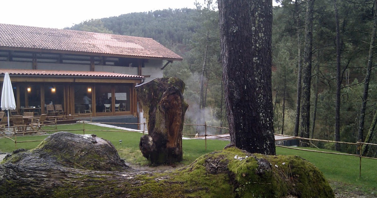 Turismo Enxebre: Termas de Prexigueiro (Ribadavia)