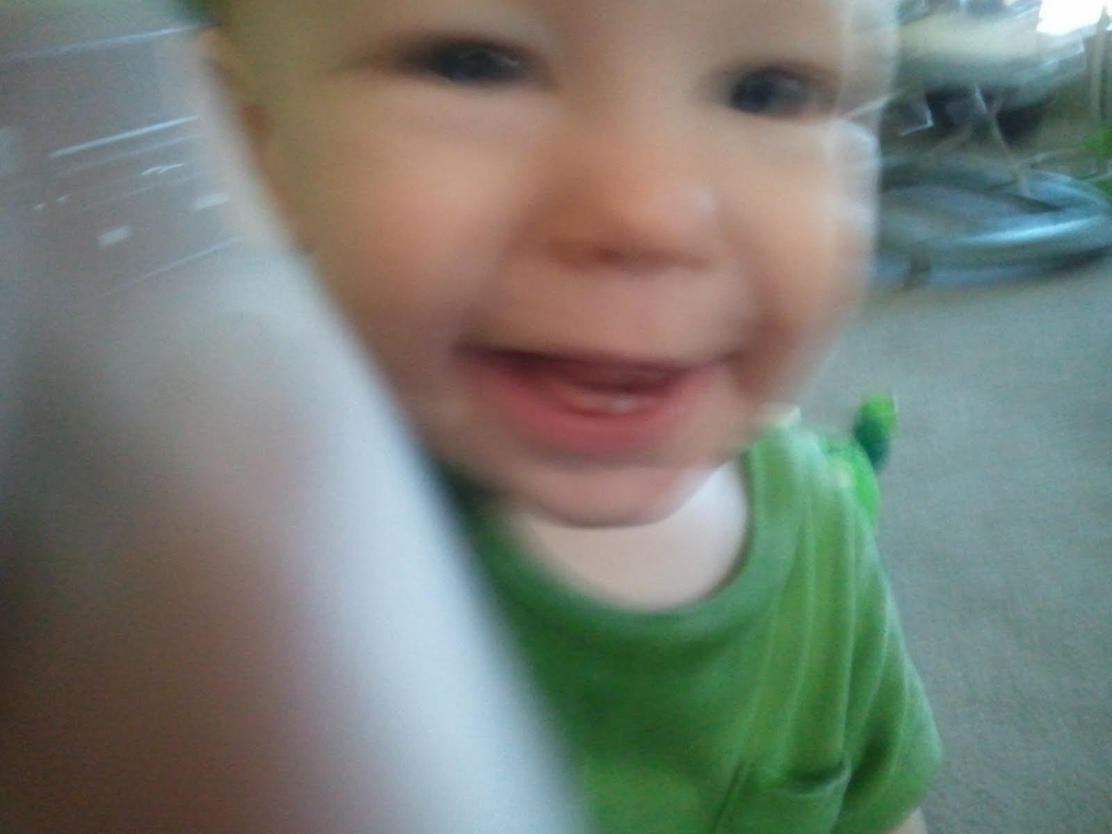 Three Mutts and a Baby: Stillwell Angel