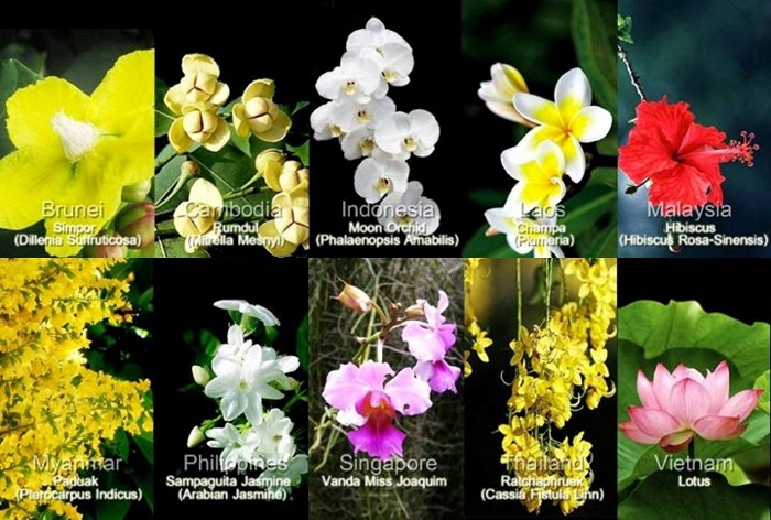 Unit 12: Bunga Kebangsaan