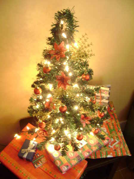 Living. Loving. Learning.: My Little Christmas Tree...