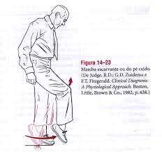 Blogão de Fisio: ANÁLISE DA MARCHA