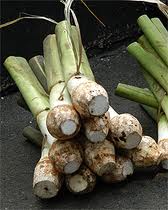 Jenis-jenis umbi-umbian dan manfaatnya