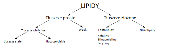 Chemiczne podstawy życia: 2017