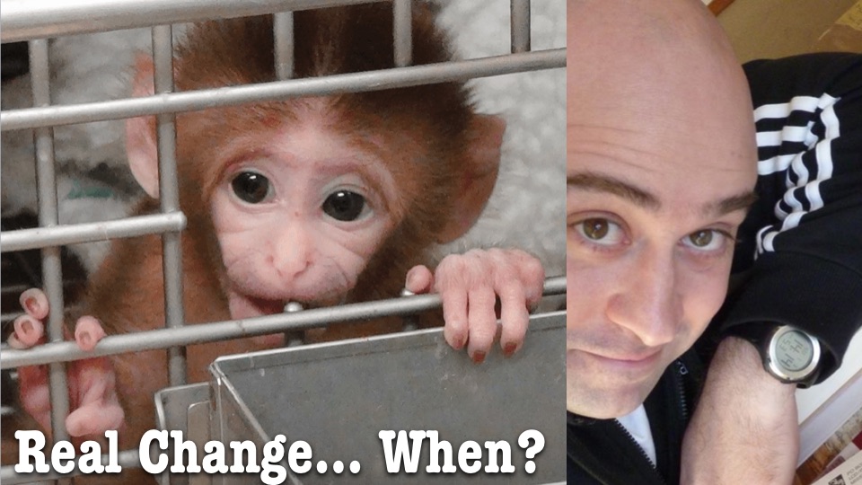 à bas le ciel: Vivisection: the next 10 years.