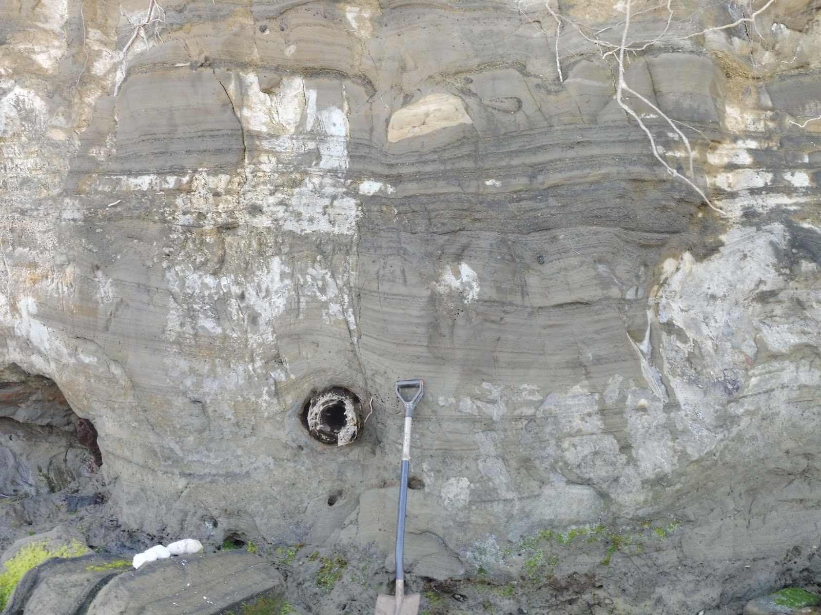 Aotearoarocks - Geology - Archaeology - History - Ecology: Part 1 of ...