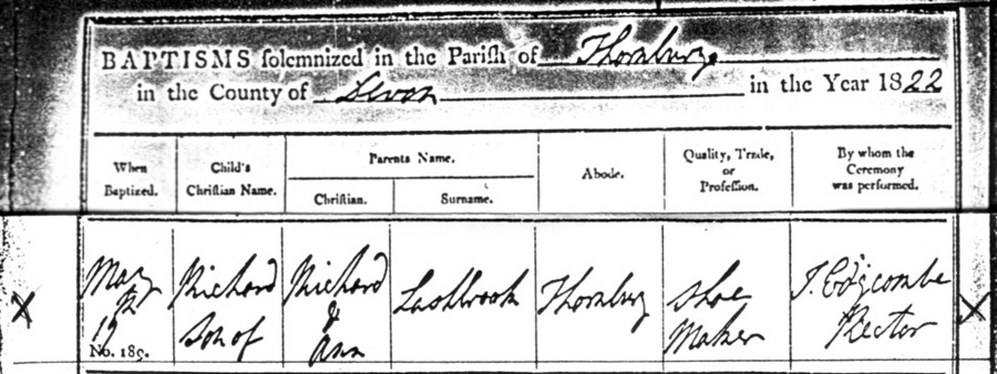 Reflections From the Fence: July 2014