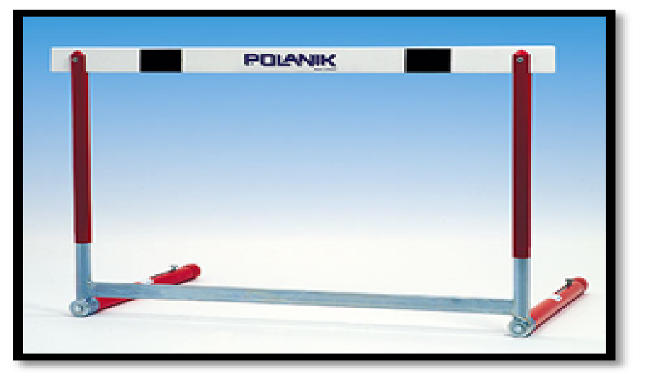 NOTA-NOTA PISMP PJ: Lari berpagar