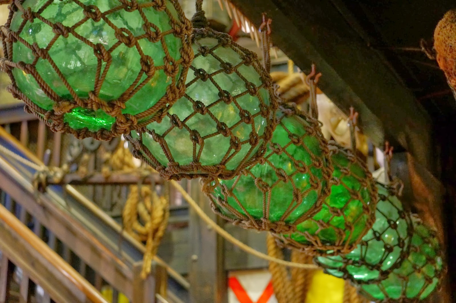 Robbin Neff Photography