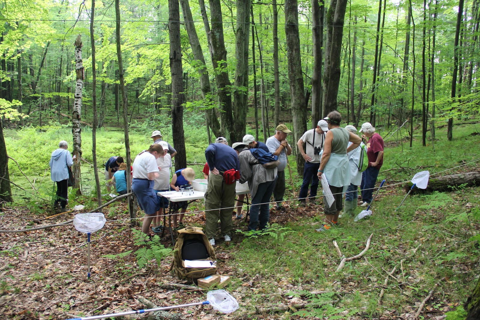 Isabella Conservation District Environmental Education Program: Aquatic ...