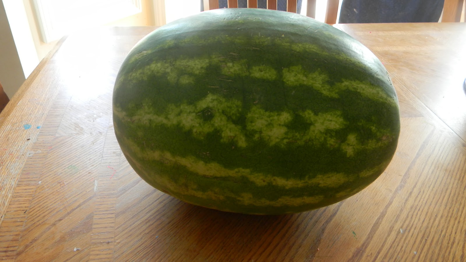 Pams Party & Practical Tips: Hedgehog Watermelon