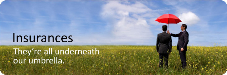 MEANING OF GENERAL INSURANCE POLICY | BE INSURED GET ASSURED