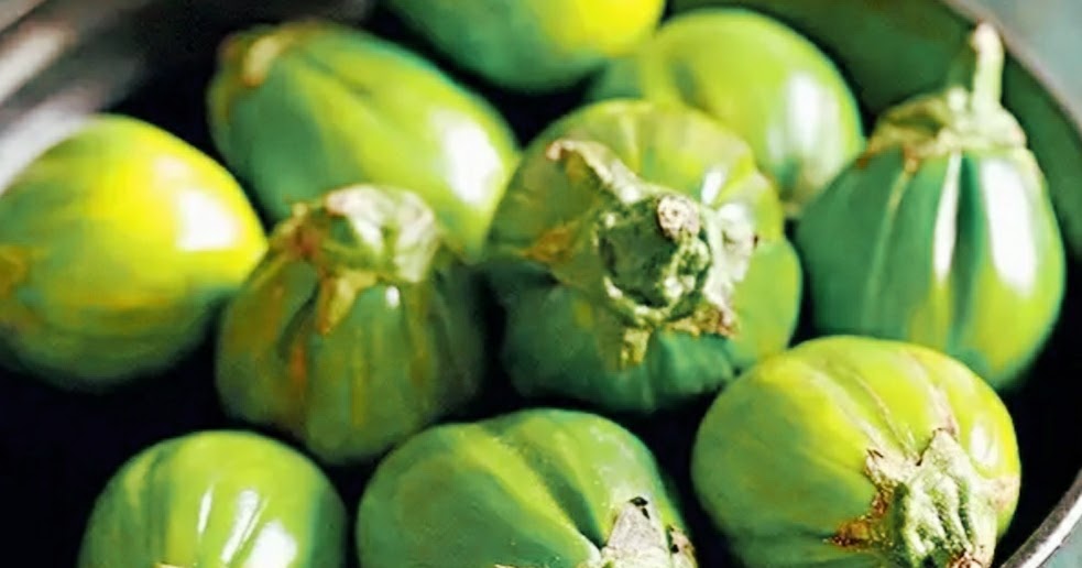 Jiló: conheça os benefícios e aprenda 6 receitas que vão te conquistar