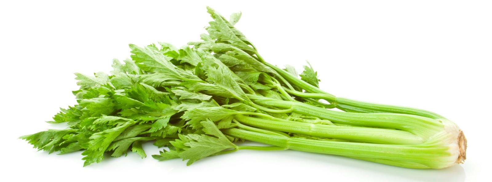 The better me: Selleri!