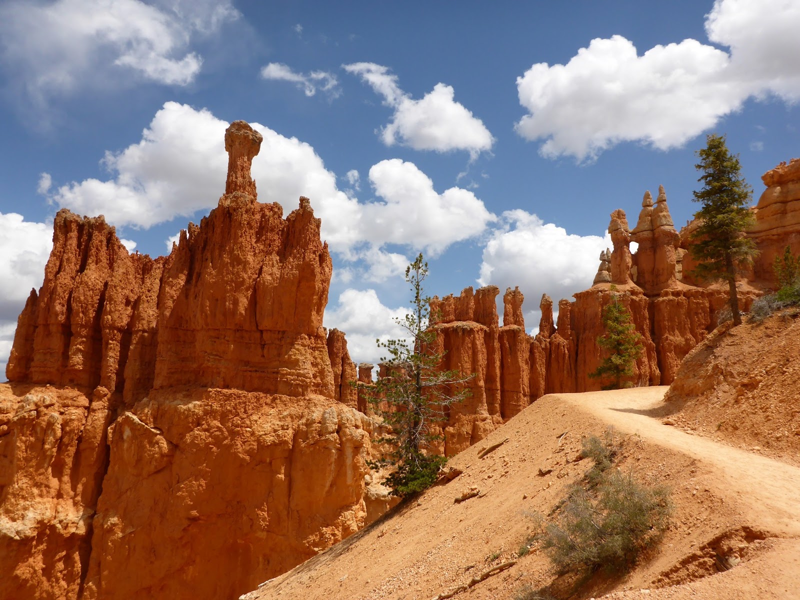 Sock Monkey Trekkers: May Trip P5 - Bryce Canyon