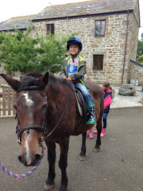 Chark Farm, Redmoor, Cornwall | Little Apple Tree