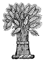 APPOSITIONS: Studies in Renaissance / Early Modern Literature & Culture ...