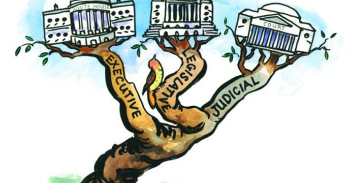 The Three Branches of Federal Government | TJ Homeschooling