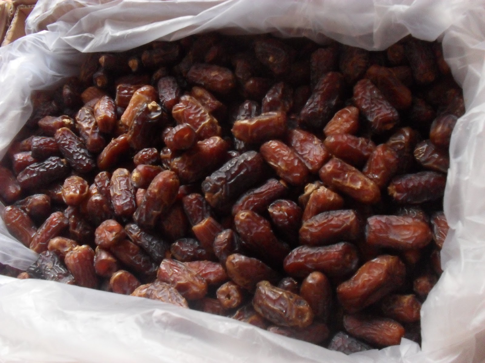 MARIAMI DATES /KURMA MARIAMI IRAN