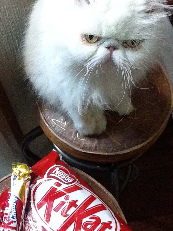 Raqpac!: Kit Kat & Cat