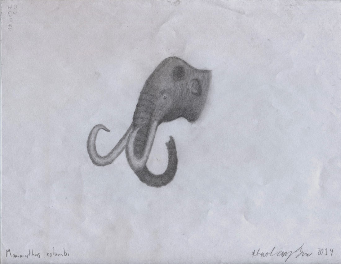 Sounder Art: Mammuthus columbi