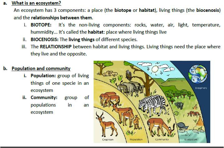 Natural Science 5 grade: 4. LIVING THINGS: Ecosystems