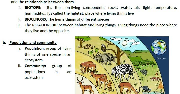 Natural Science 5 grade: 4. LIVING THINGS: Ecosystems