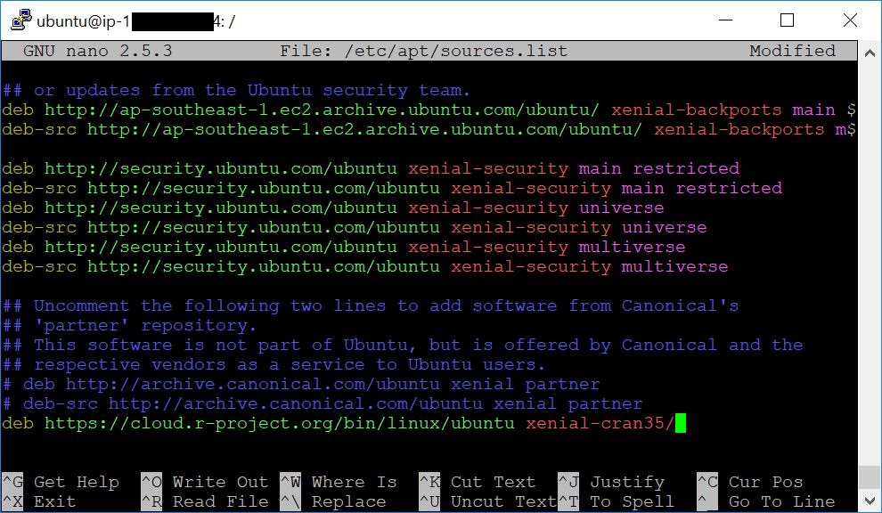 The Technical Bit: Step-by-Step Guide to setup R Shiny Server on AWS