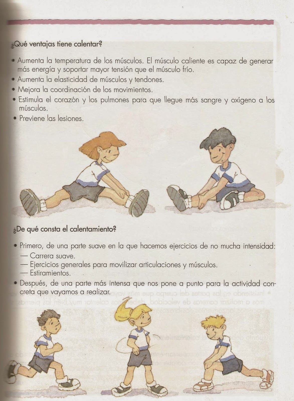 Educación Física y Deporte Carmelitas: El calentamiento - The warm up