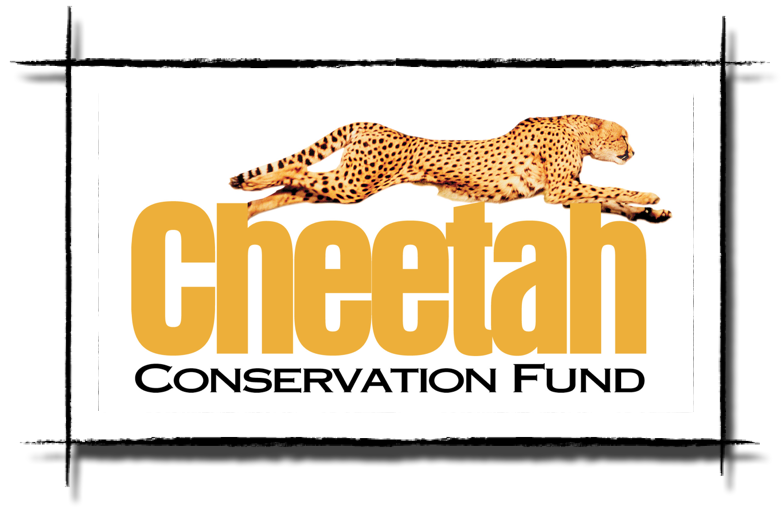 Cheetah Conservation Fund - Alchetron, the free social encyclopedia