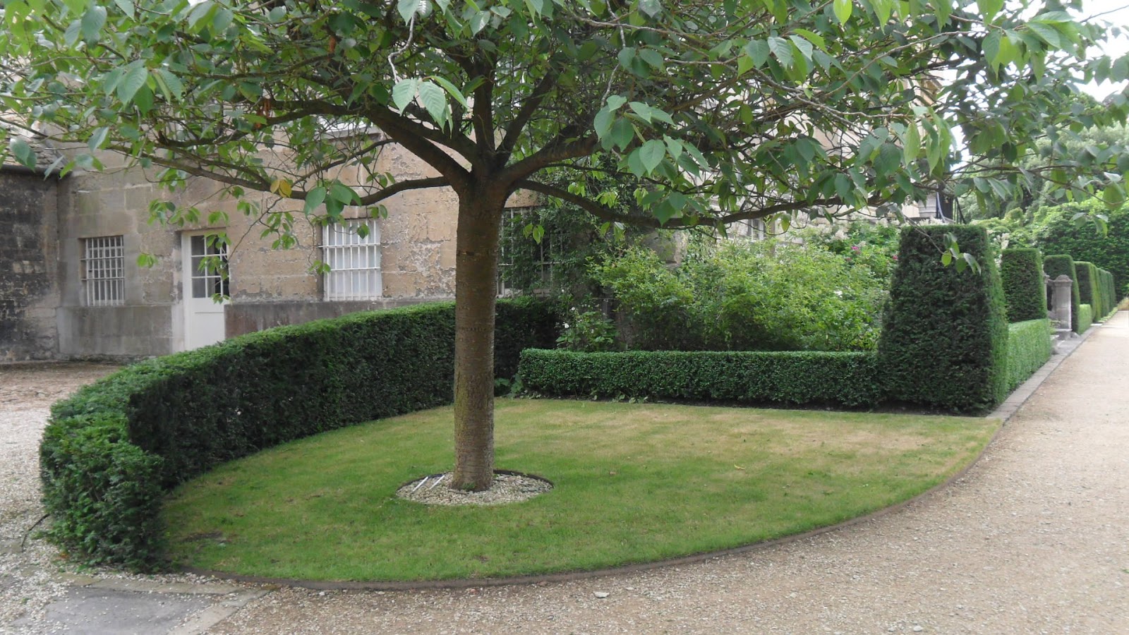 Worcester College Gardeners 2009-2018: Yew Hedges, Yew Columns And A ...