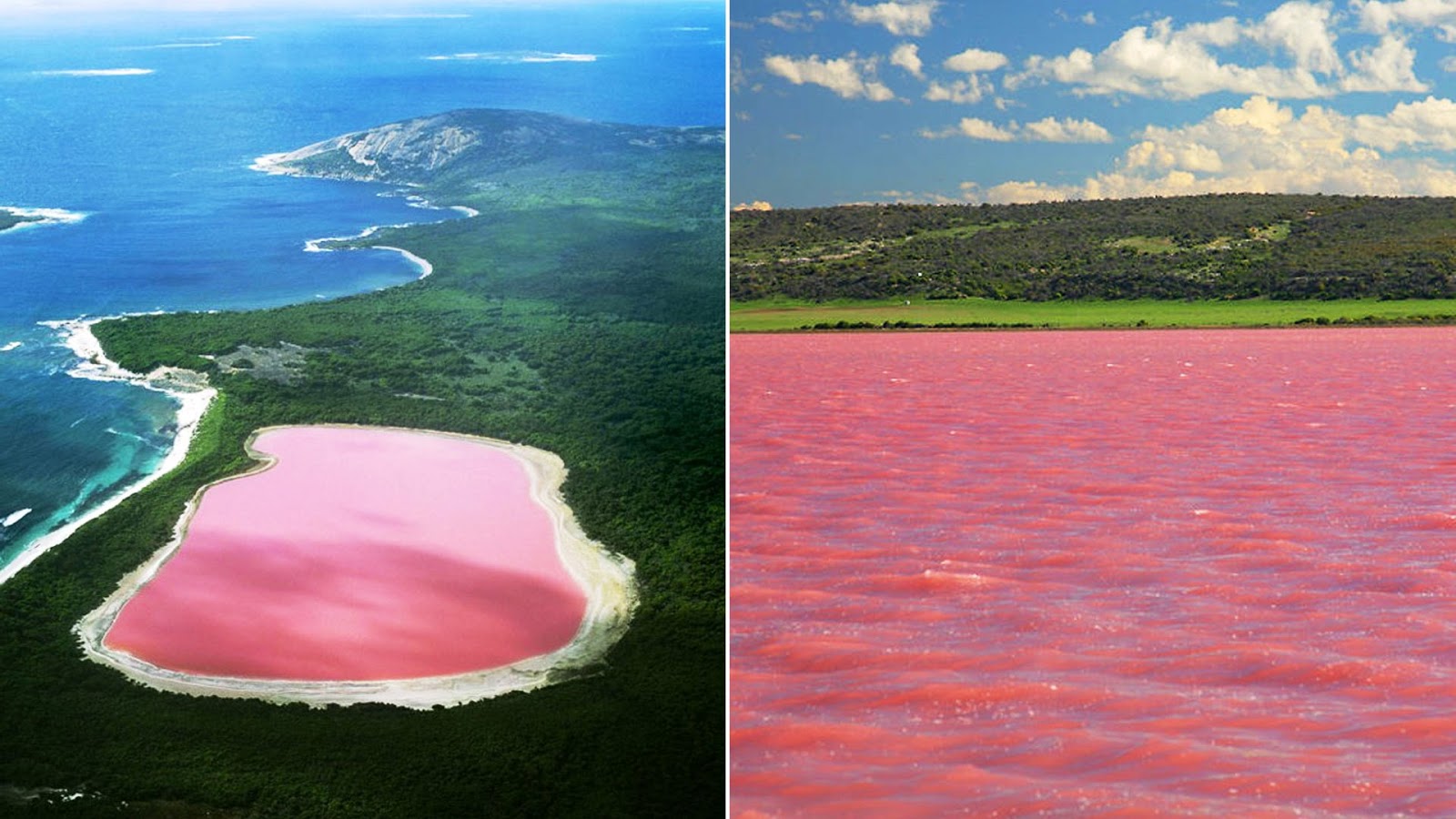Pink Lakes - Rare Natural Wonders ~ Must See how To?