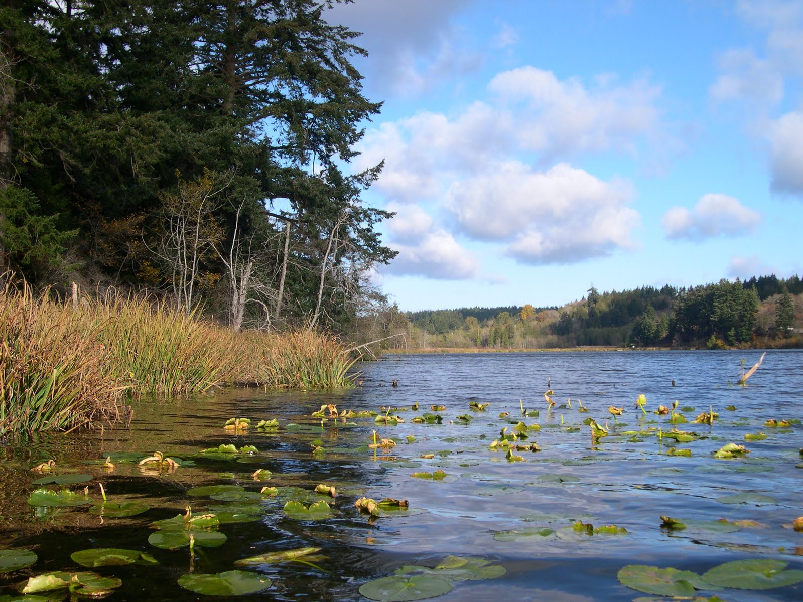 100 Lakes on Vancouver Island: Nanaimo Urban Lakes