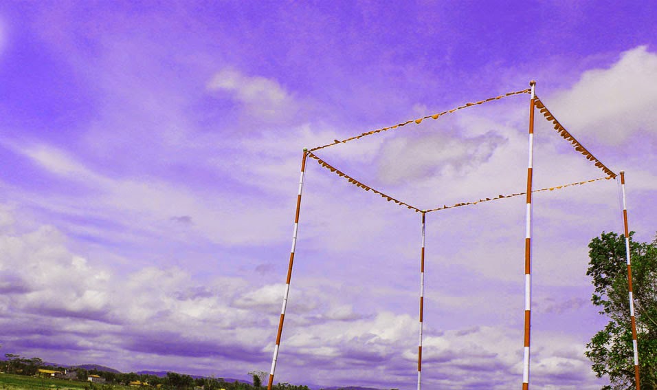 (0287) 382807 / 085228600358 / 085329515425 Lapak Merpati Kolong ...