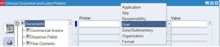 Shipping Document Printing in Oracle Application « Learn Oracle