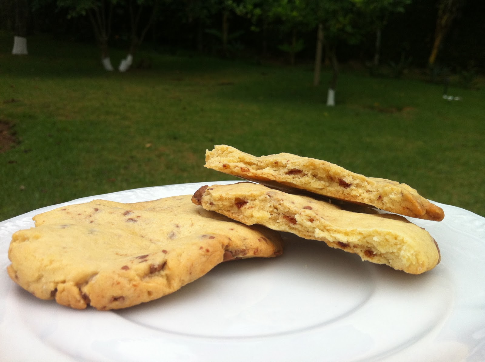 INUKARES: GALLETAS estilo COOKIES