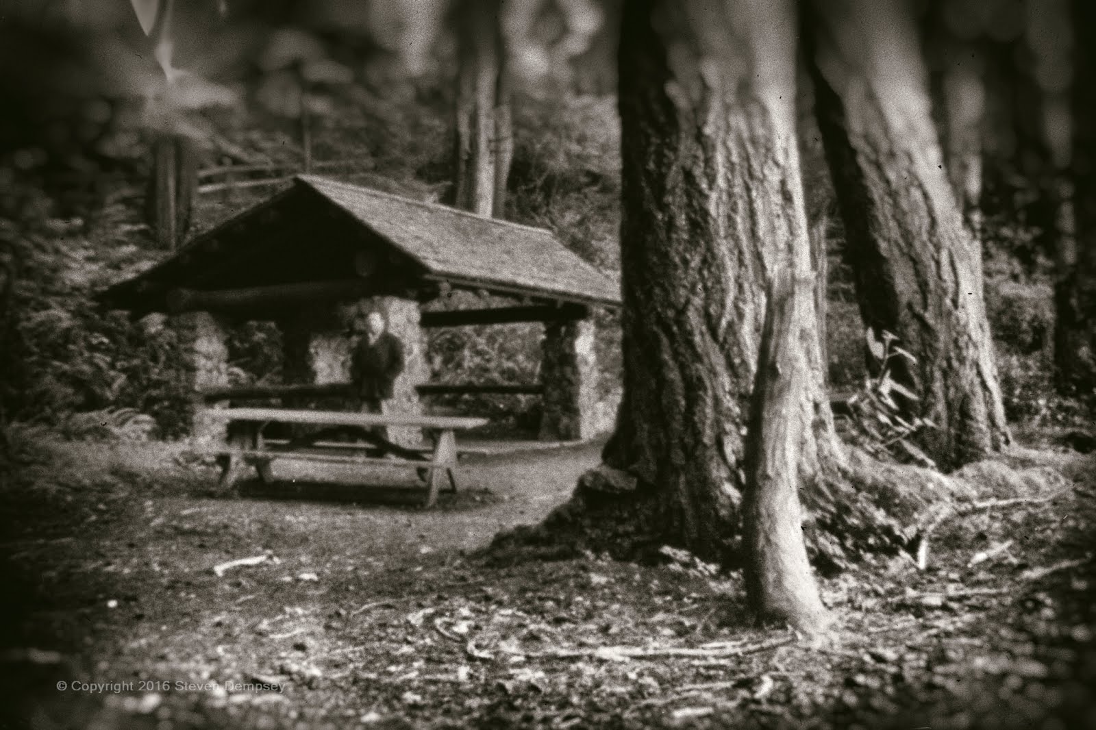 Pictures in Motion - Pinhole Photography ~ Steven Dempsey on Photography