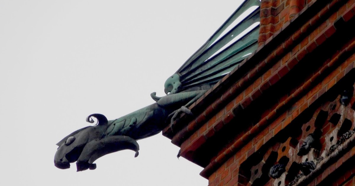 Moje fotki z wypadów. : Rzygacze rynnowe.