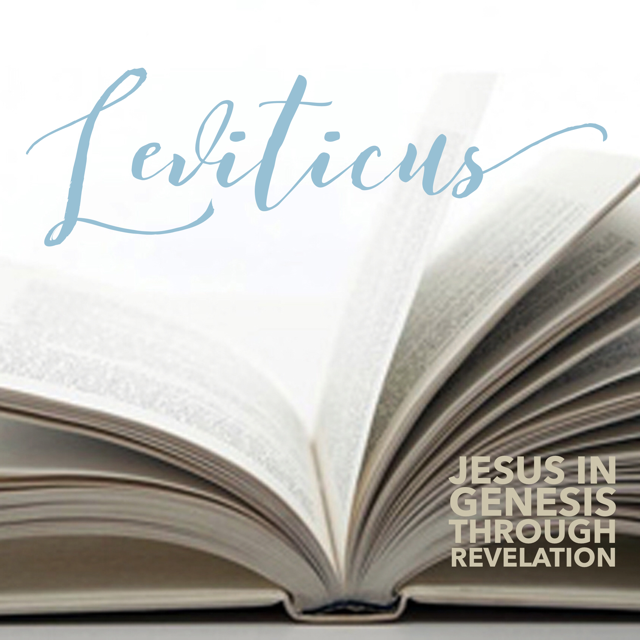 Seek First...Study of Colossians: Jesus in Leviticus
