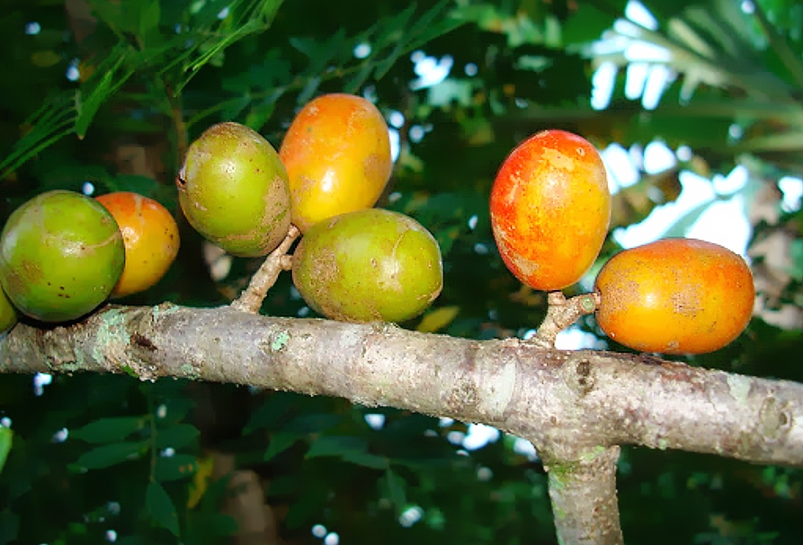 Natureza, Perfeição sem tamanho...