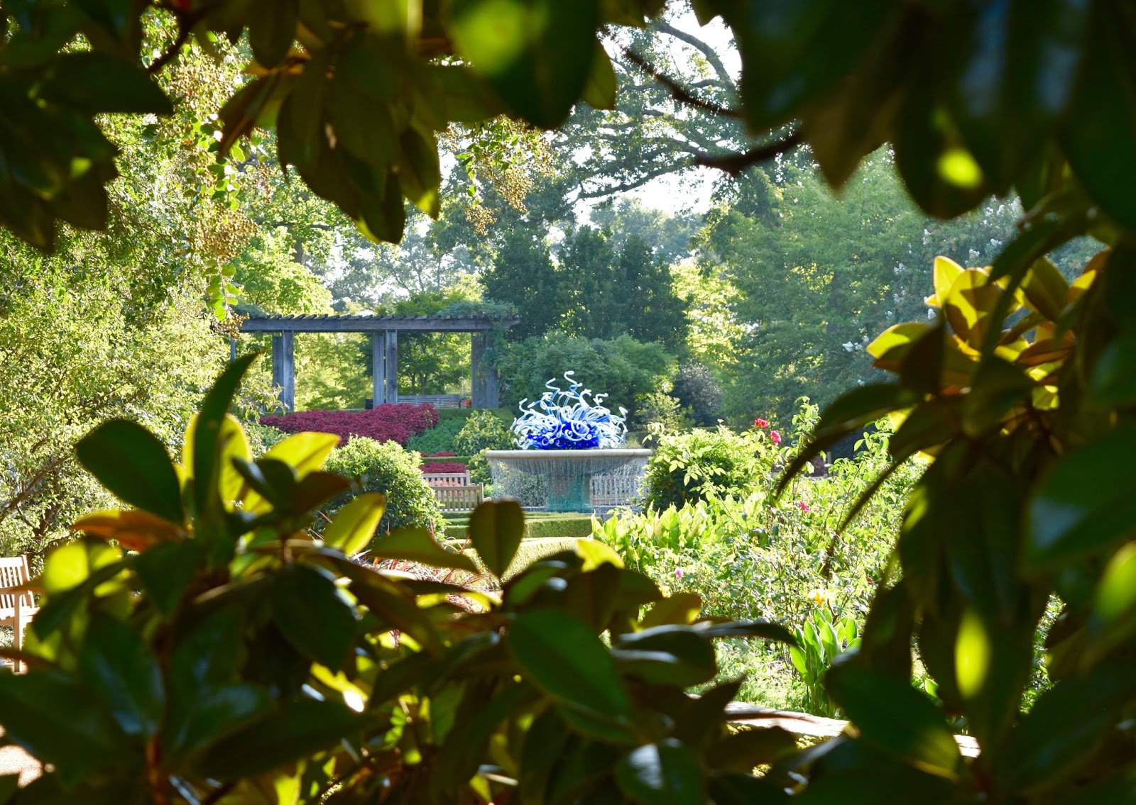 Chihuly at the Atlanta Botanical Garden