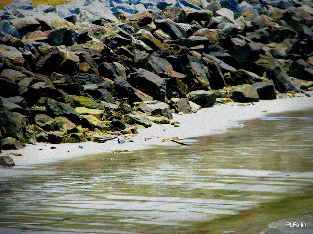 PL Fallin Photography: 'Among the Rocks' by Robert Browning