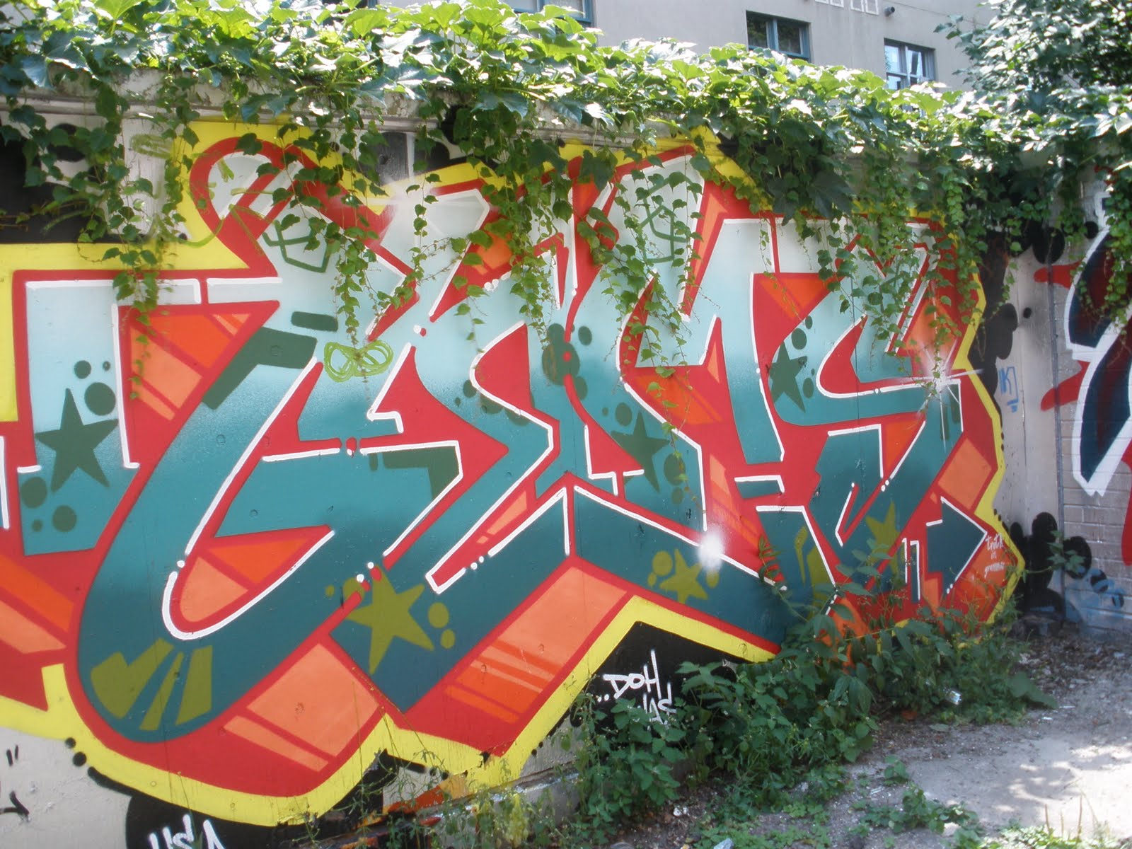 The Wonder, the Weeds and the Why in an Austin garden: Graffiti and a ...