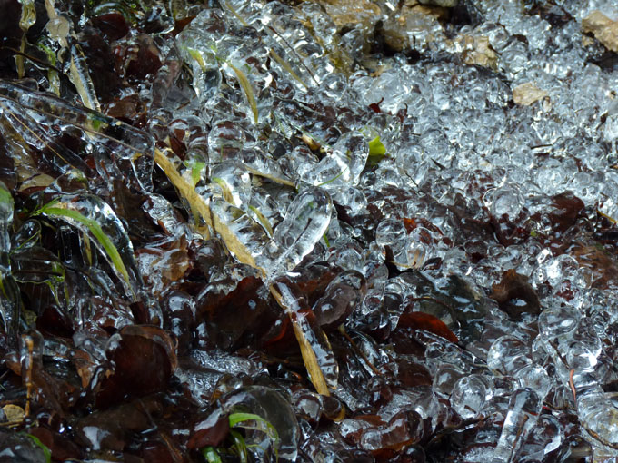 janvier 2012 | Mary & Patch