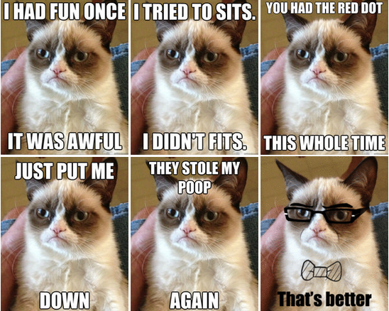 Grumpy Cat Quotes | Funny Collection World