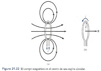 Tareas De Fisica: Capitulo 29 MAGNETISMO Y CAMPO MAGNETICO.